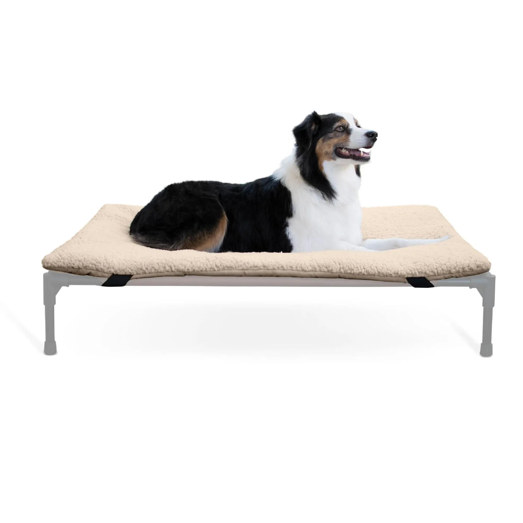 Pet Products Original Pet Cot Pad (Cot Sold Separately)>K&H Discount ...
